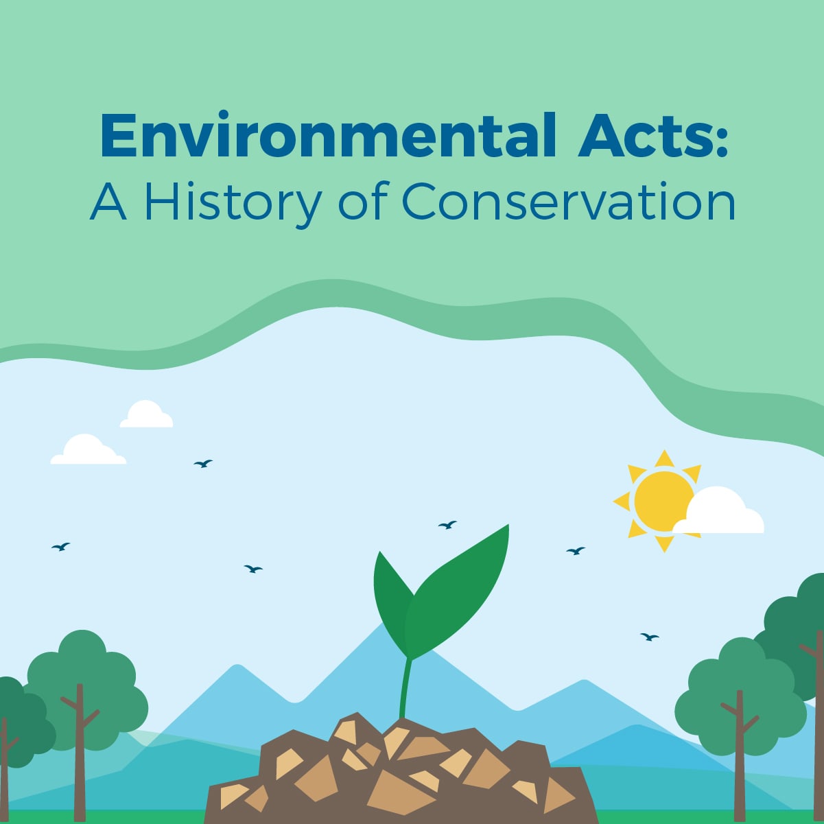 Environmental Acts: A History of Conservation | Green Mountain Energy