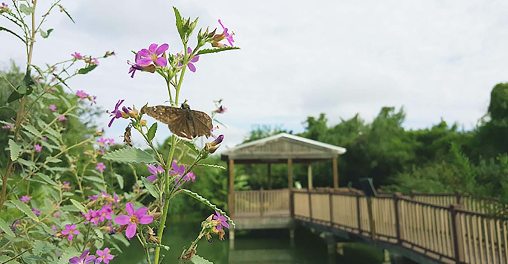 Valley Nature Center | Green Mountain Energy