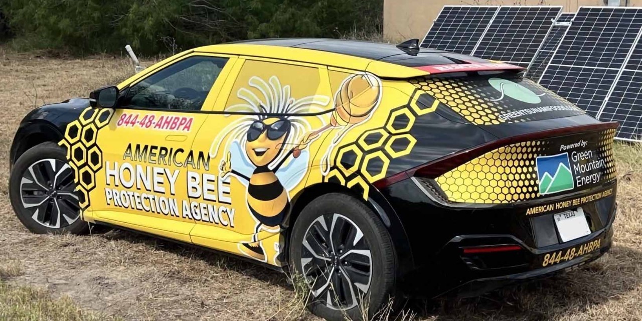 American Honey Bee Protection Agency | Green Mountain Energy