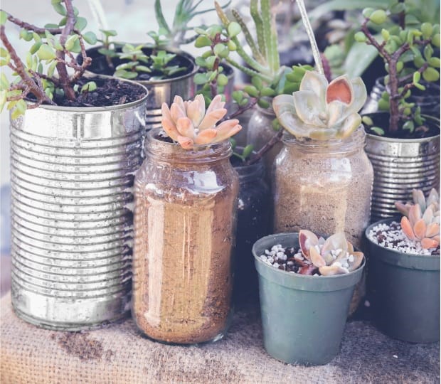 12 Ways You Can Protect the Environment | Green Mountain Energy