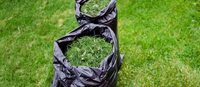 What is Biomass Energy? | Green Mountain Energy